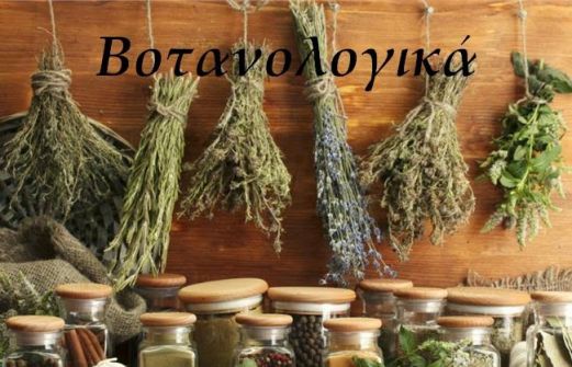 Συνταγή: ΣΥΝΟΠΤΙΚΟΣ ΠΙΝΑΚΑΣ ΧΡΗΣΗΣ ΒΟΤΑΝΩΝ ΚΑΙ ΑΡΩΜΑΤΙΚΩΝ ΦΥΤΩΝ